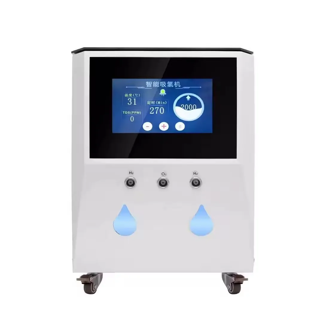 Intelligent-Hydrogen-Itching-Double-suction-Hydrogen-Itching-Machine ...