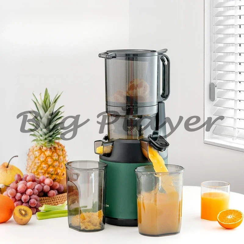 220V Slow Juicer Cold Press Extractor Filter Free Easy Wash Electric ...