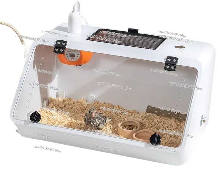 Precision-Temperature-Parrot-Brooder-Safe-Warmth-for-Baby-Cockatiels ...