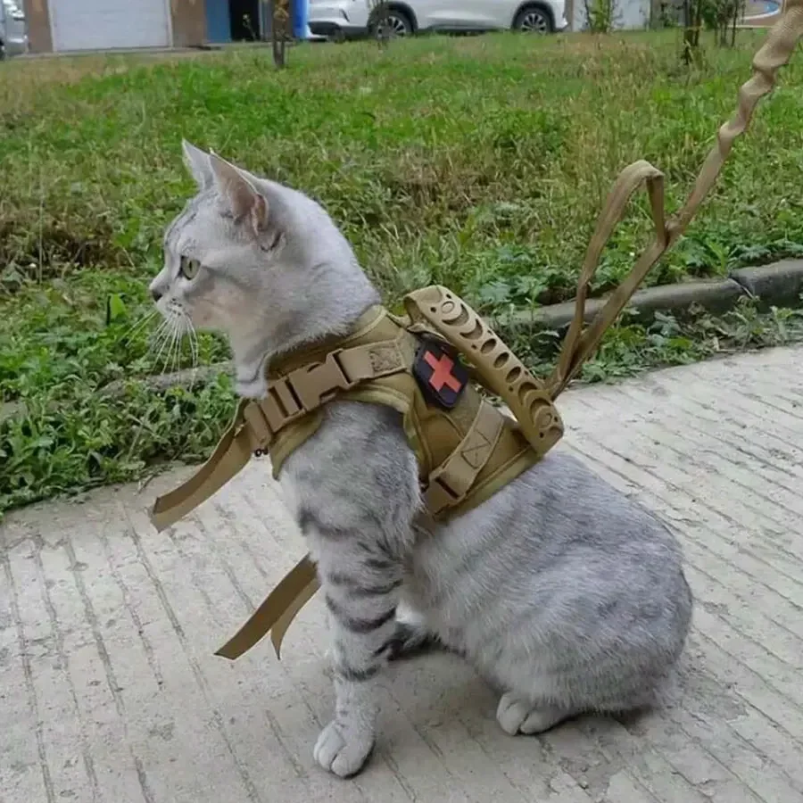Outdoor Cat Vest Waterproof Cat Clothes Cat Chest Strap Special Vest ...