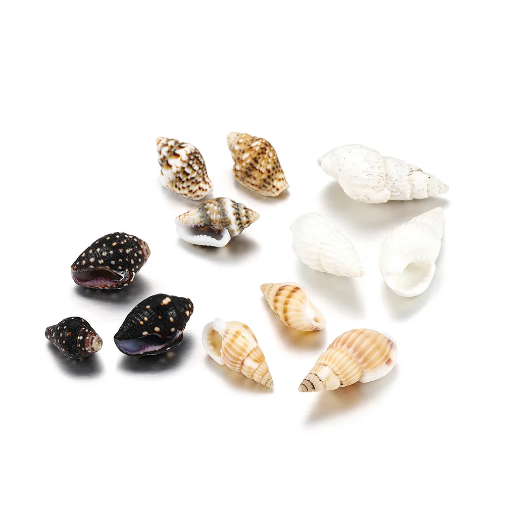 50g-Bagged-mixed-shell-conch-aquarium-landscaping-fish-tank-decoration ...