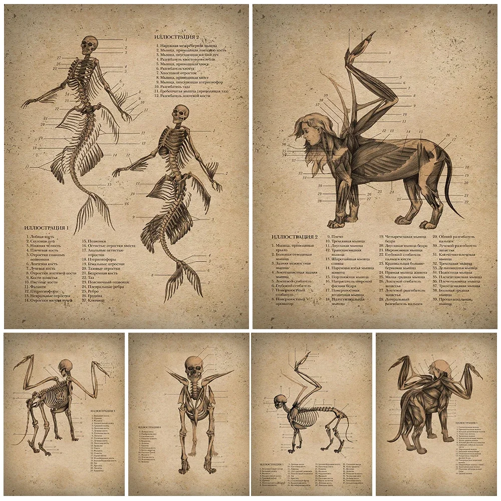 Monster Anatomy Drawing: The Ultimate Wall Art for Fantasy Enthusiasts ...