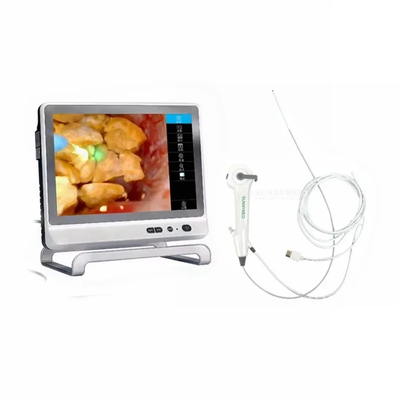 SY-P029-3-cystoscope-disposable-digital-flexible-ureteroscopy-endoscope ...