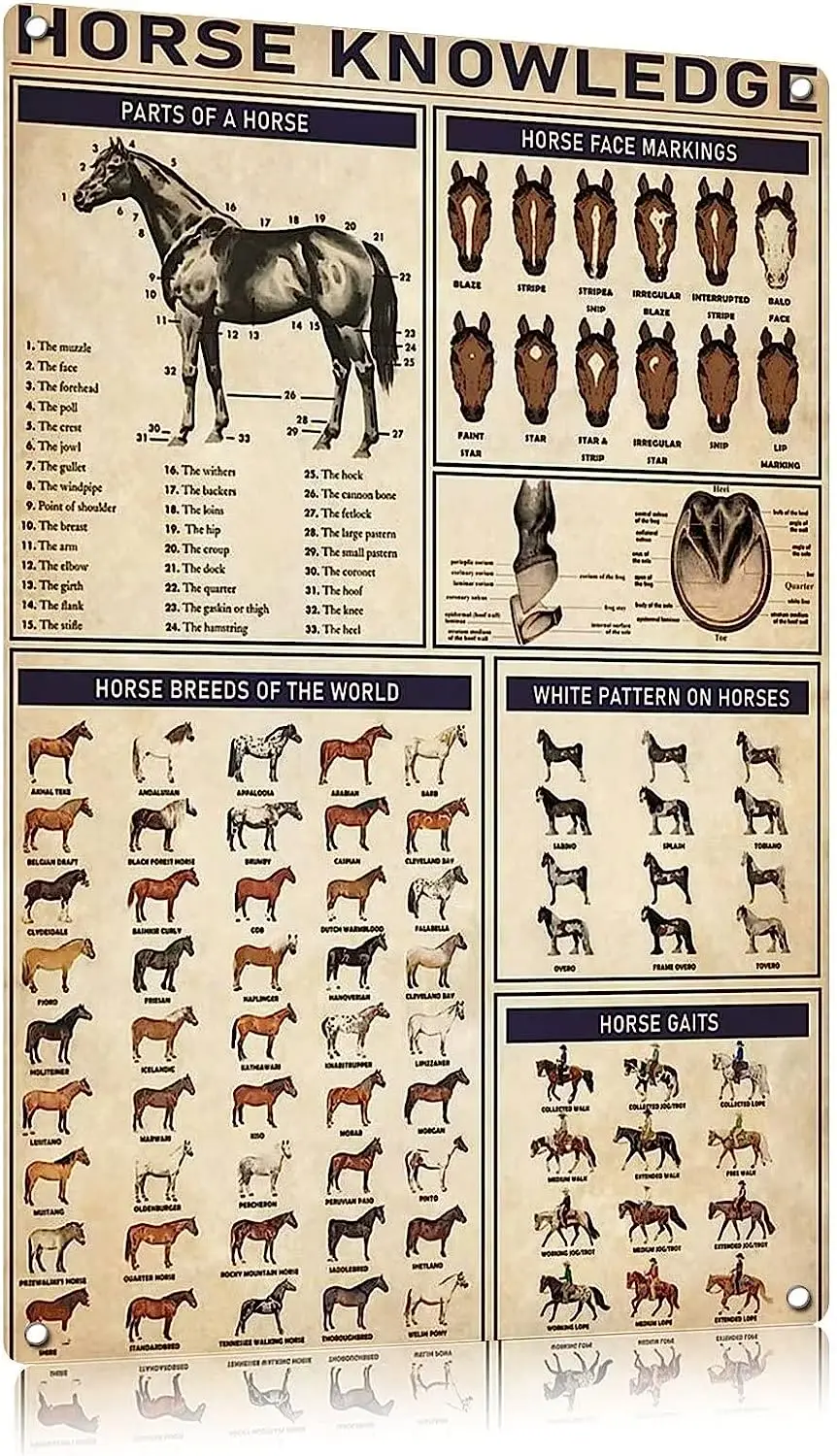 Vintage-Metal-Tin-Sign-Infographic-Plaque-Animal-Science-Poster ...