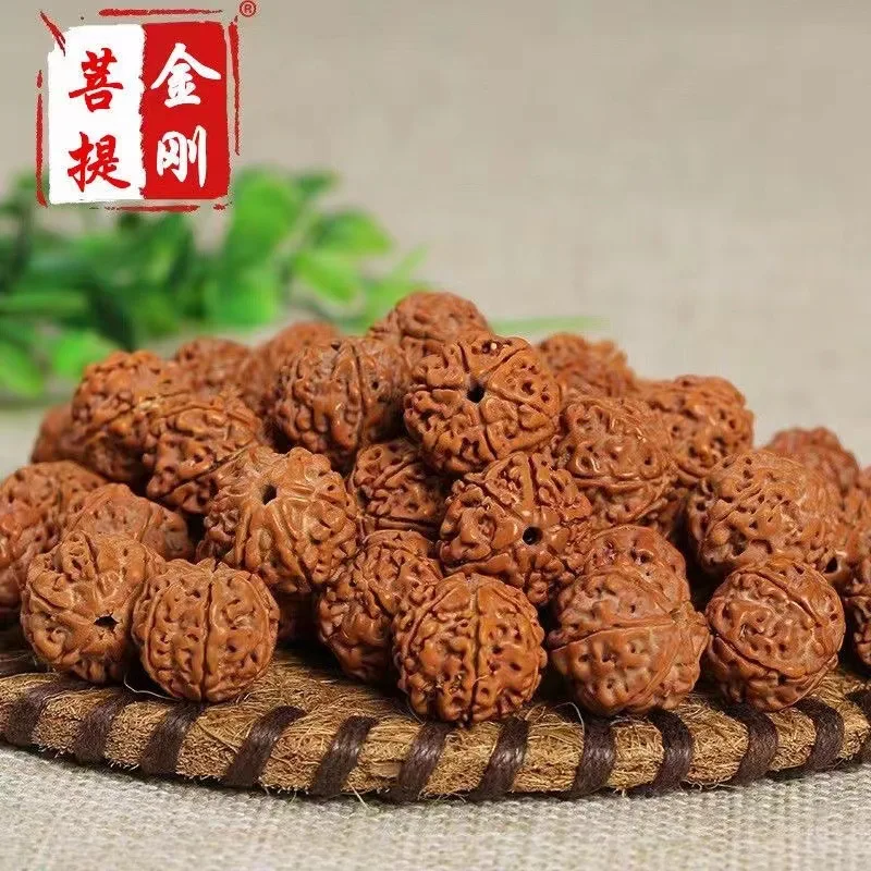 Factory-Wholesale-Five-Faces-Jingang-Pipal-Tree-Seed-Nepal-Corpulent ...