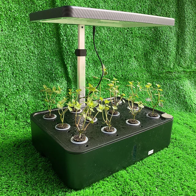 Countertop Herb Garden Planter: Home Hydroponic Set