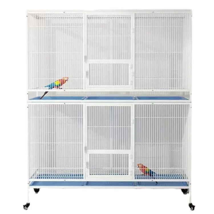 Free space bird cage encrypted mesh multi-layer large group of birds ...