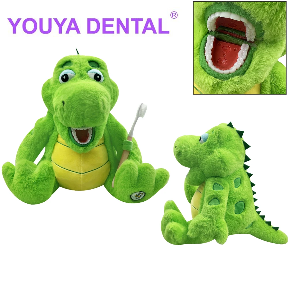 Dentist-Kids-Toothbrush-Buddy-Oral-Health-Presentation-Teaching-Teeth-Model-Dental-Toys-for ...