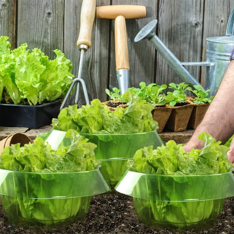 Durable-Slug-Protection-Vegetables-Covers-Plant-Snail-Collar-Guard ...