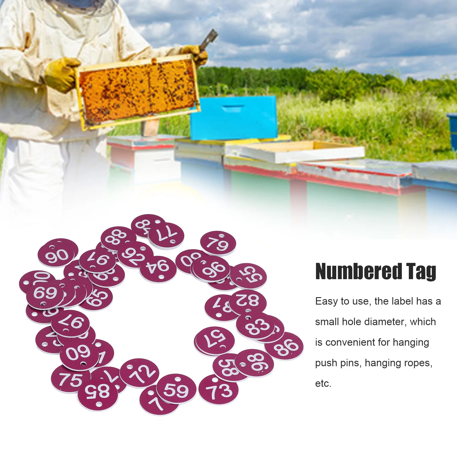 50Pcs-Numbered-Sign-Labels-Beehive-Tags-Bee-Box-Mark-Beekeeping-Supply ...