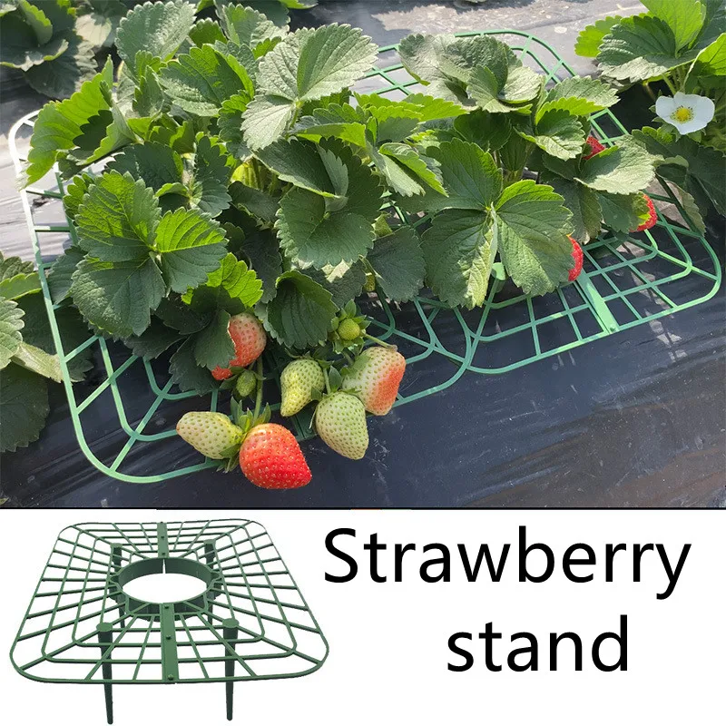 1-2-5-10PCS-Strawberry-Stand-Frame-Holder-Balcony-Planting-Rack-Fruit ...