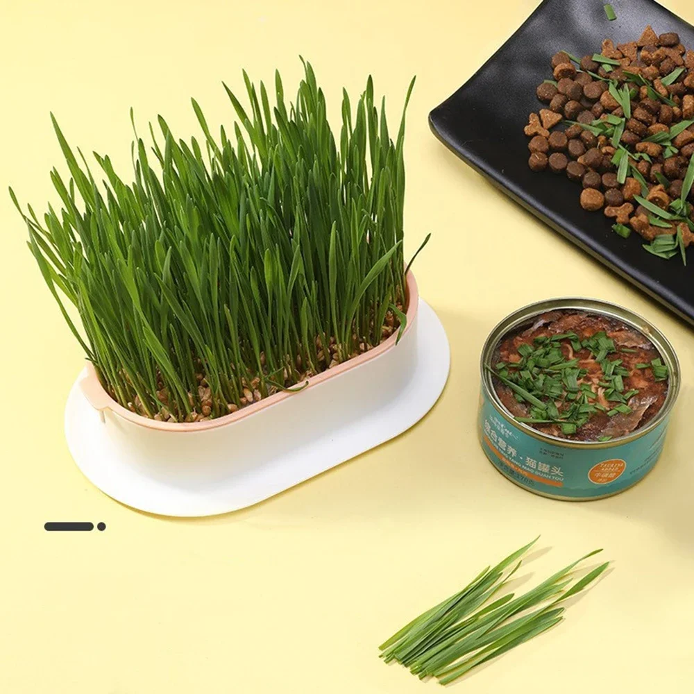 1set-Pet-Cat-Grass-Planter-Sprout-Dish-Growing-Pot-Hydroponic-Plant-Cat ...