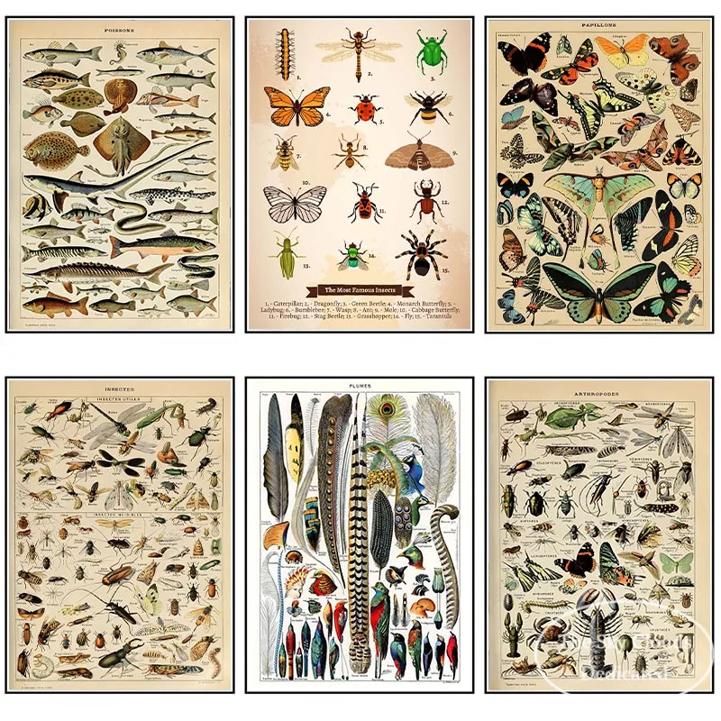 Vintage-Insect-Poster-Canvas-Painting-Printing-Art-and-HD-Printing ...