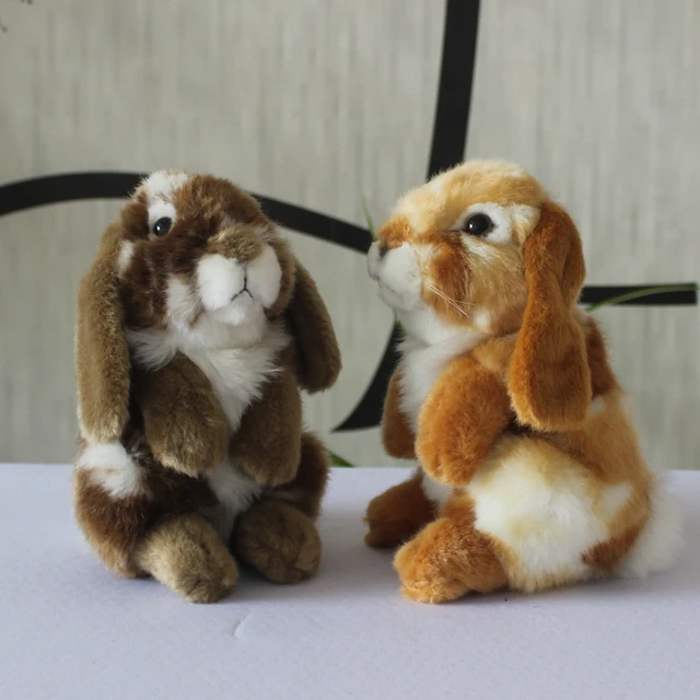 Brown And White Spotted Rabbit