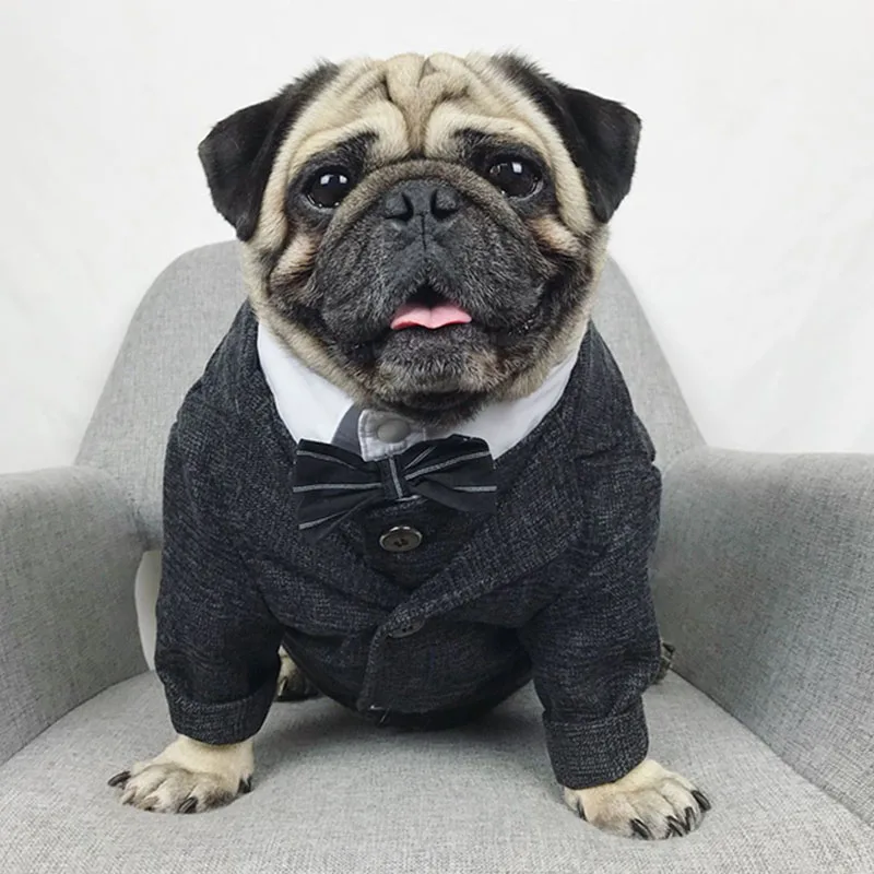 Traje-de-perro-para-caballero-ropa-para-mascotas-conjunto-de-chaleco-de ...