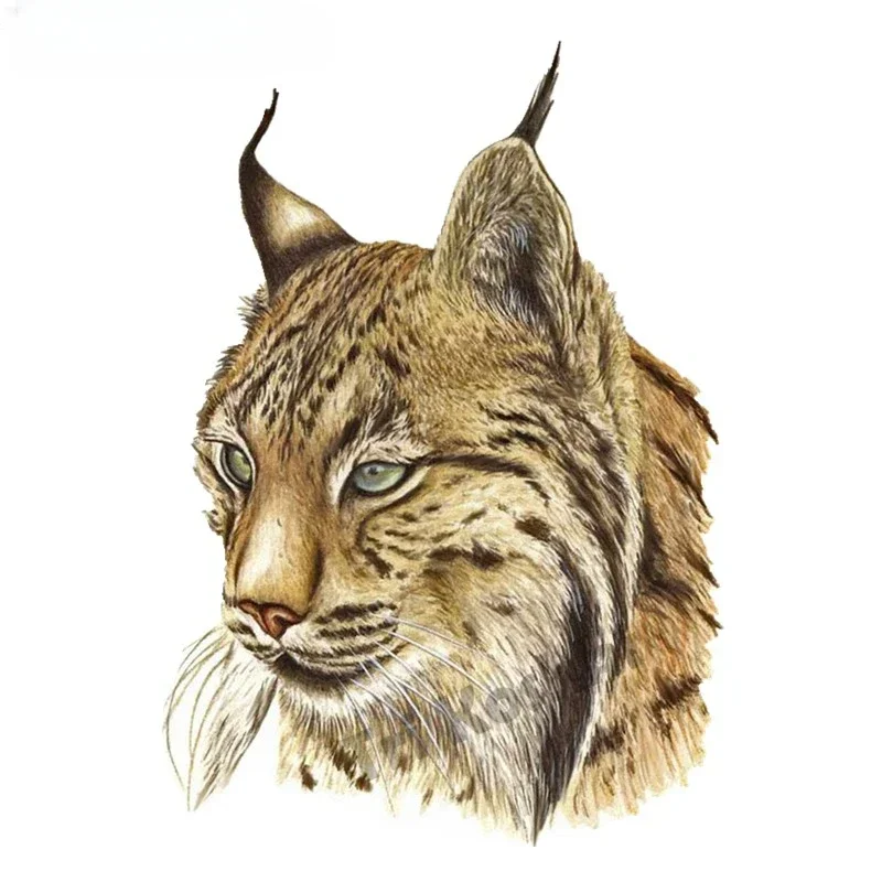 Cool-Lynx-Animal-Car-Sticker-Pvc-Decals-Motorcycle-Accessories-Sticker ...