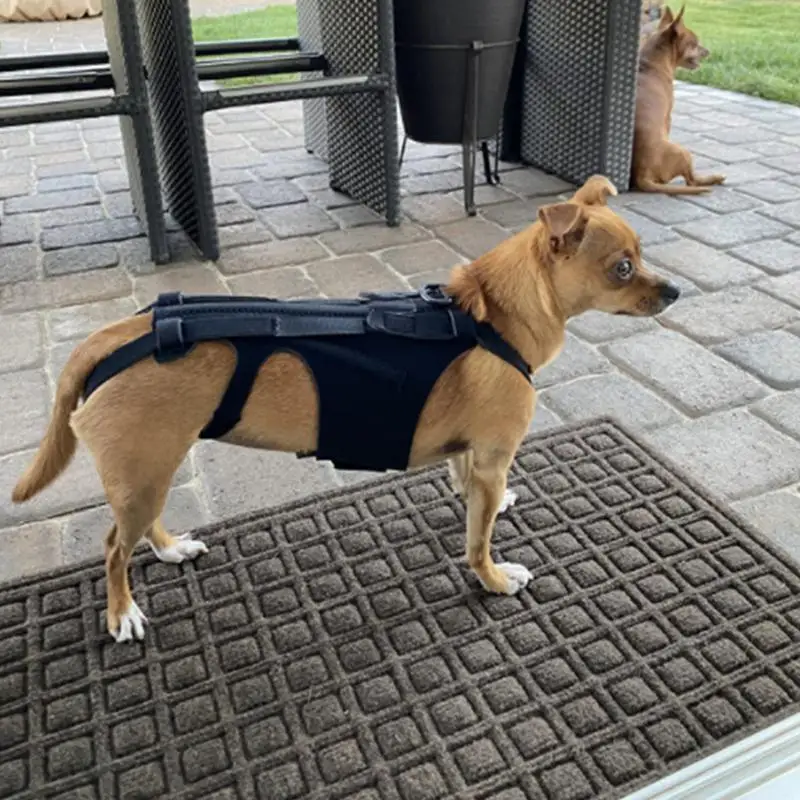 Respir-vel-Dog-Back-Support-Brace-Pet-Dog-Brace-confort-vel-Full ...