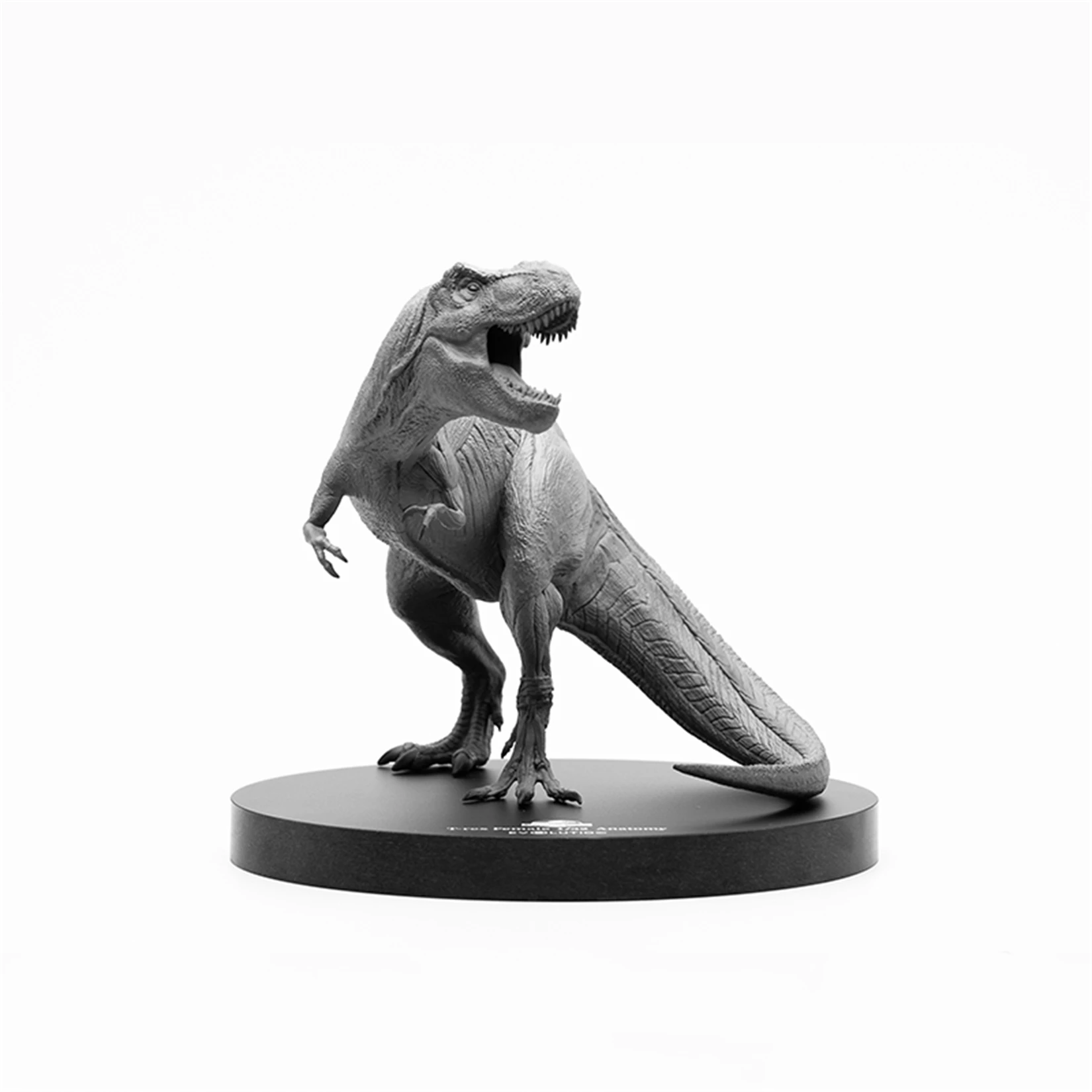 Tyrannosaurus Rex Muscles