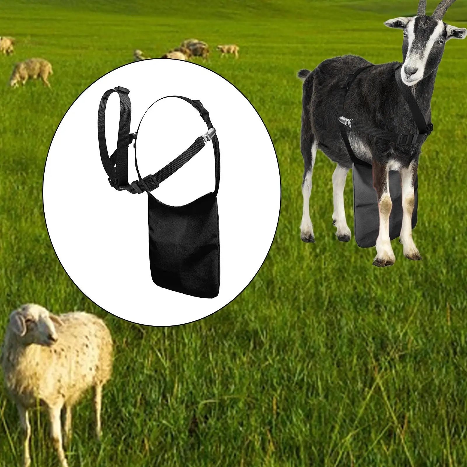 Goats Anti Breeding Apron, Lightweight Easy to Use, Farm Multifunction ...