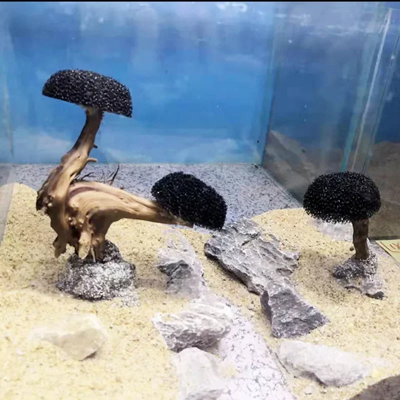 Behandlung Mit Baummoos