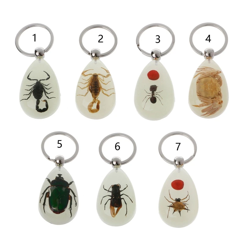 Luminous-Amber-Insect-Keychain-Black-Scorpion-Resin-Key-Ring-Glow-in ...
