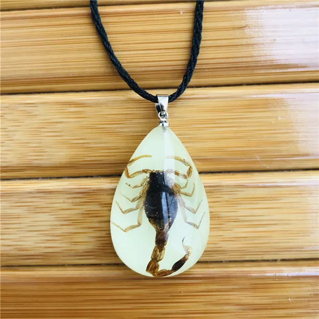 Luminous Real Scorpion Necklace Vintage Resin Insect Beetle Spider ...