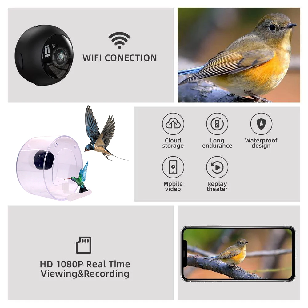 Birdfeeder wifi câmera de visão noturna aves detectados assistindo ...