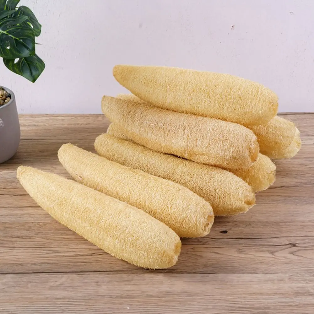 Natural-Loofah-Luffa-Sponge-Good-Absorbency-Strong-Cleaning-Sponge-Long ...