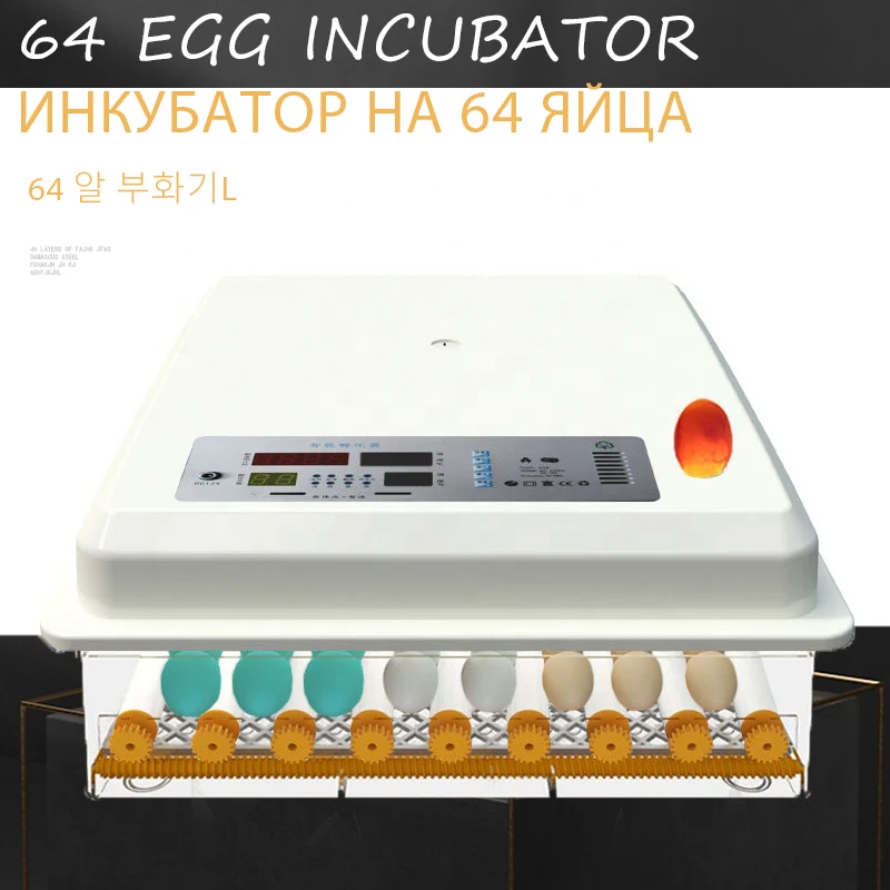 36-64-Egg-Incubator-Automatic-Temperature-Control-and-Water ...