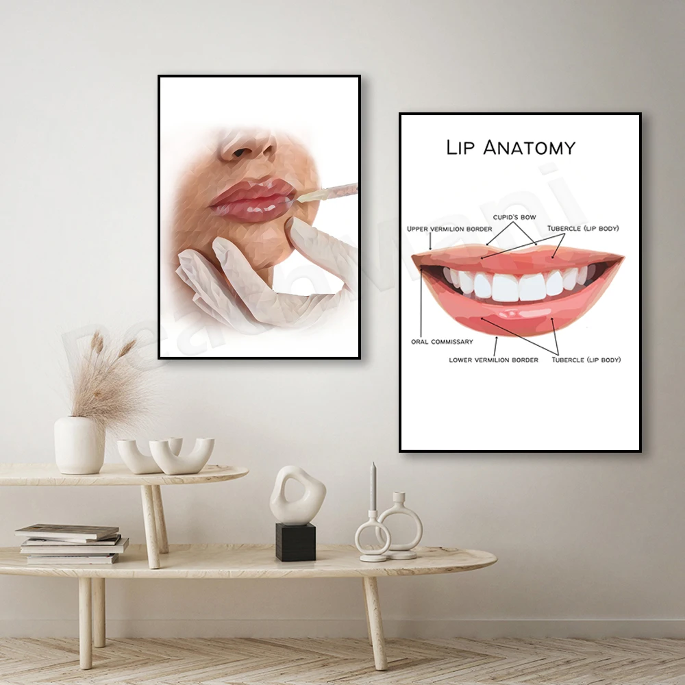 Lip Anatomy Tubercle