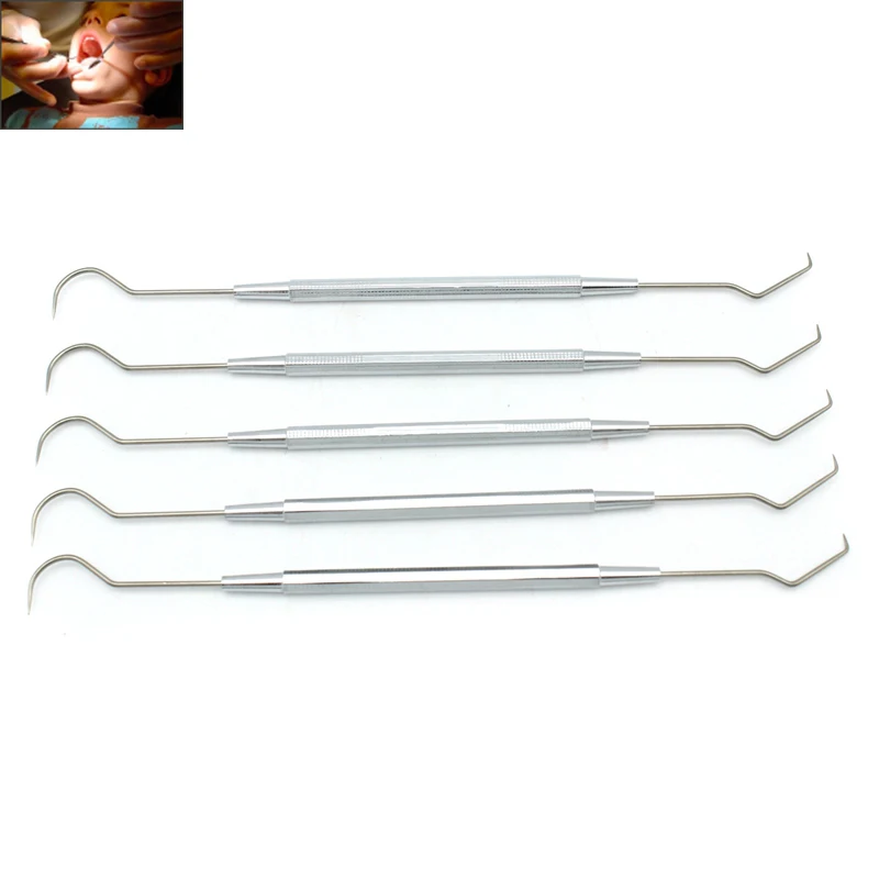 5pcs-Stainless-Steel-Dental-Dentist-Teeth-Clean-Hygiene-Probe-Hook-Pick ...