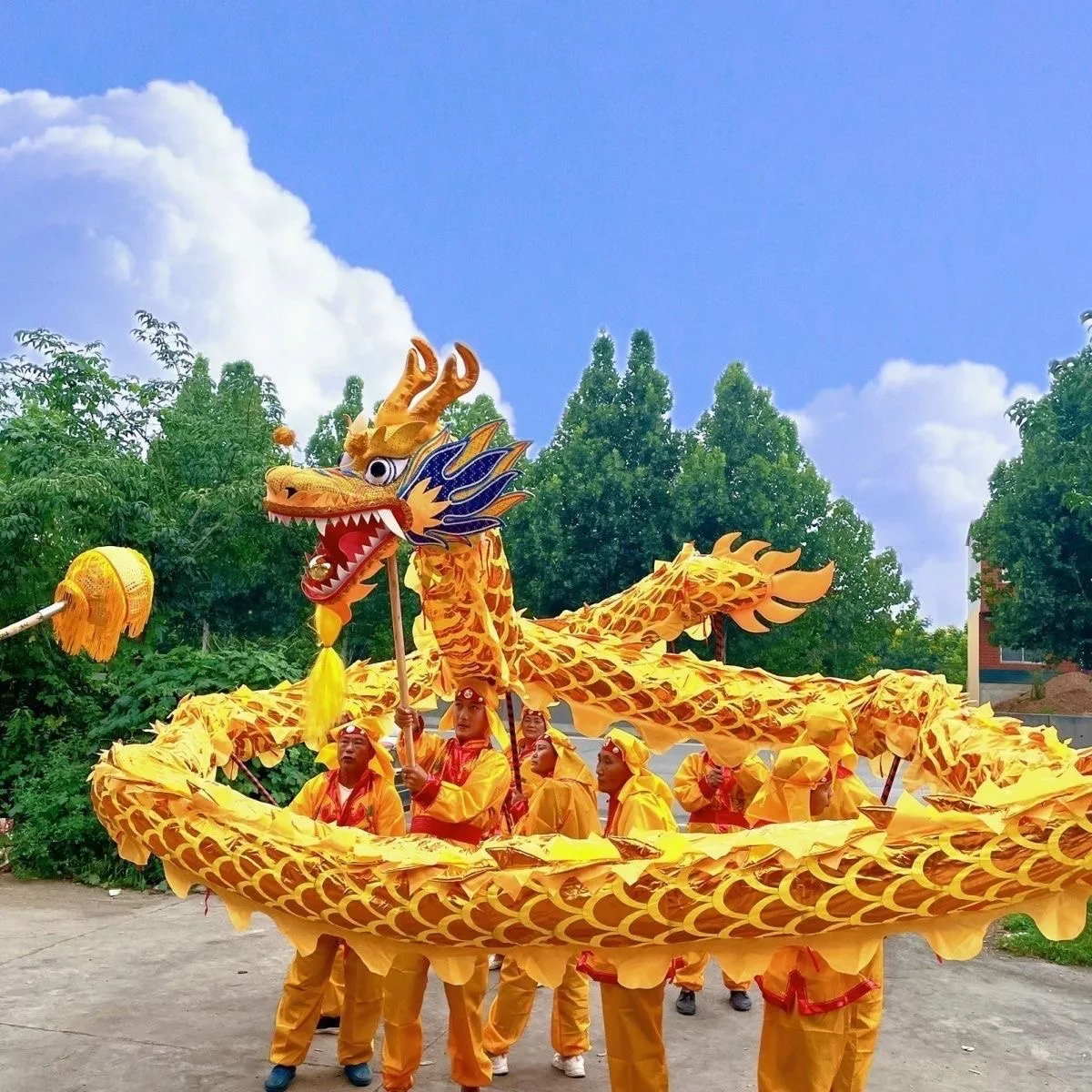 10m-Adult-golden-plated-Size-4-Dragon-Dance-Costume-6-Players-Event-Art ...