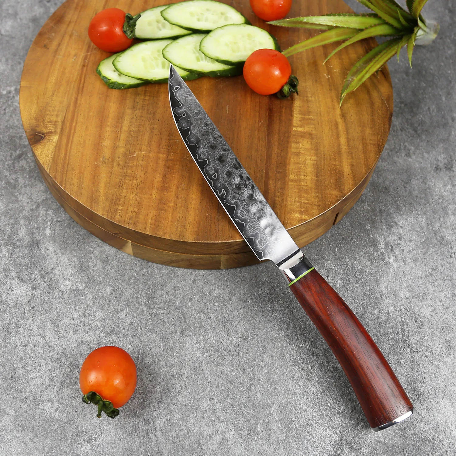 5-Inch-Steak-Knife-10Cr15MoV-67-Layers-Damascus-Steel-Blade-Sharp ...