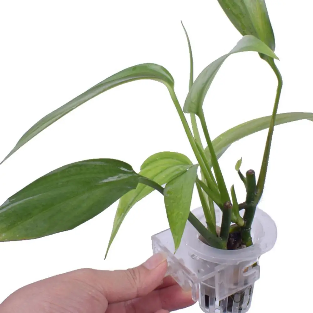 2pcs-Aquarium-Plant-Holder-Fish-Tank-Planter-Cups-With-Holes-Design ...