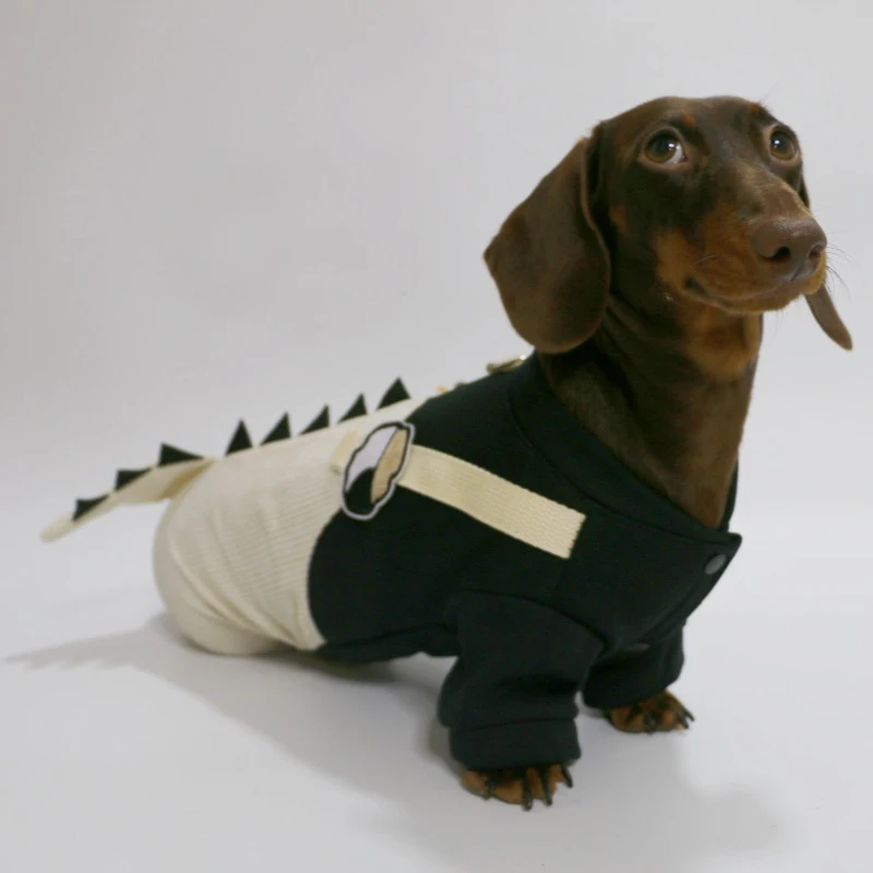 Dinosaur Shape Dog Sausage Hoodie for Small Dog Wiener Badger Dachshund ...