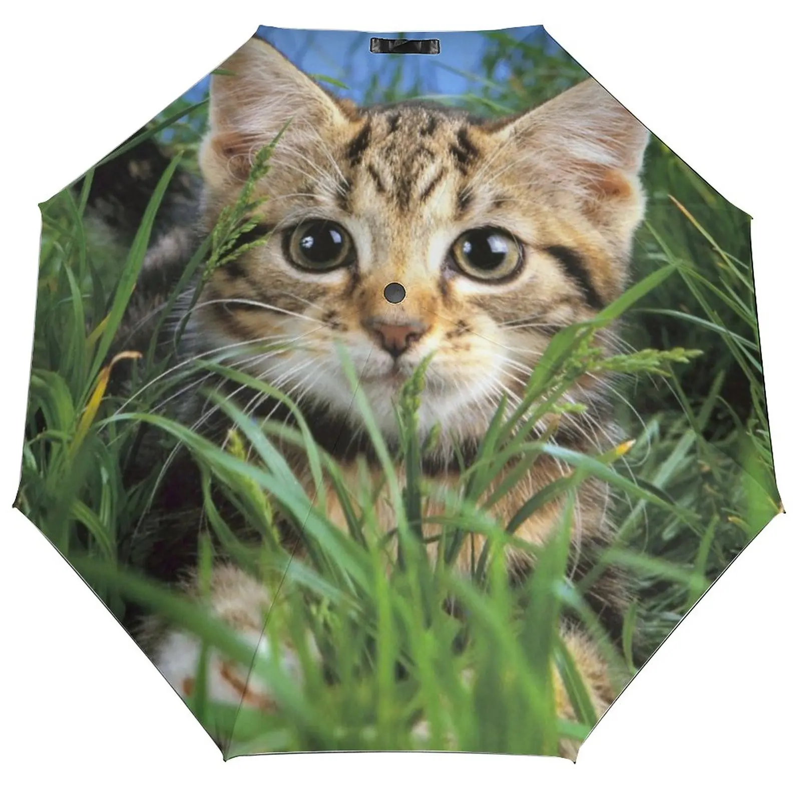 Animal-Cat-Printed-Umbrella-Rain-Women-Automatic-Umbrella-Three-Folding ...