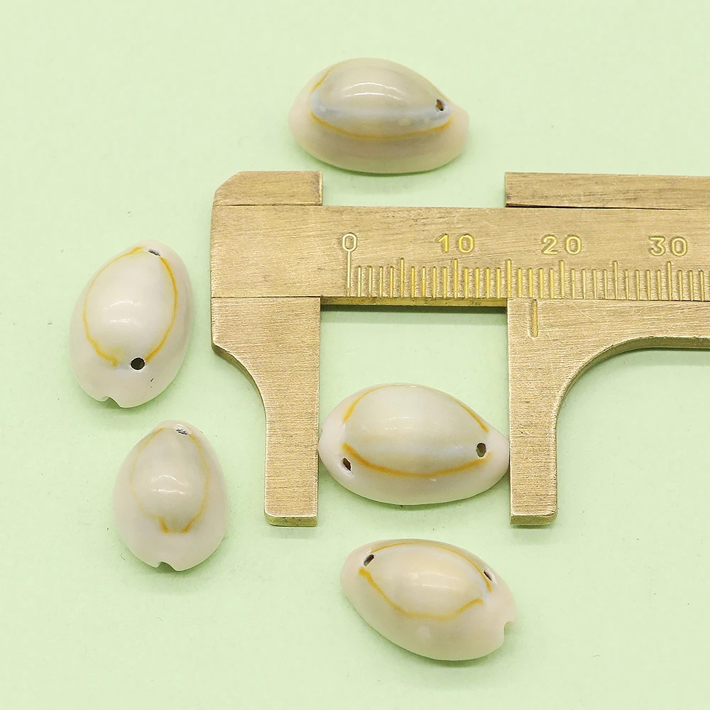 20-Pcs-White-Sea-Shell-Beads-for-Jewelry-Making-Natural-Shell-Charm ...