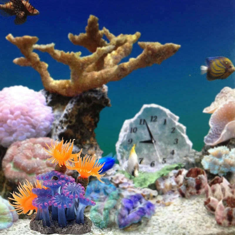 Soft Corals Aquarium