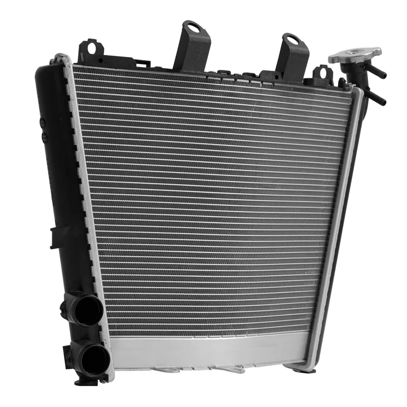 Motorcycle-Aluminium-Radiator-Cooler-Cooling-For-BMW-M1000RR-S1000R ...