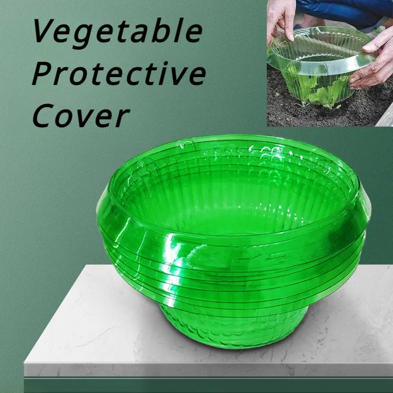 Plant-Protection-Collars-Vegetables-Covers-Snail-Collars-Slug-Reusable ...