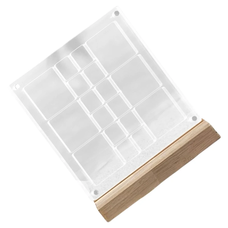 Clear-Acrylic-Shell-Collection-Box-Stable-Shell-Holder-for-Displaying ...
