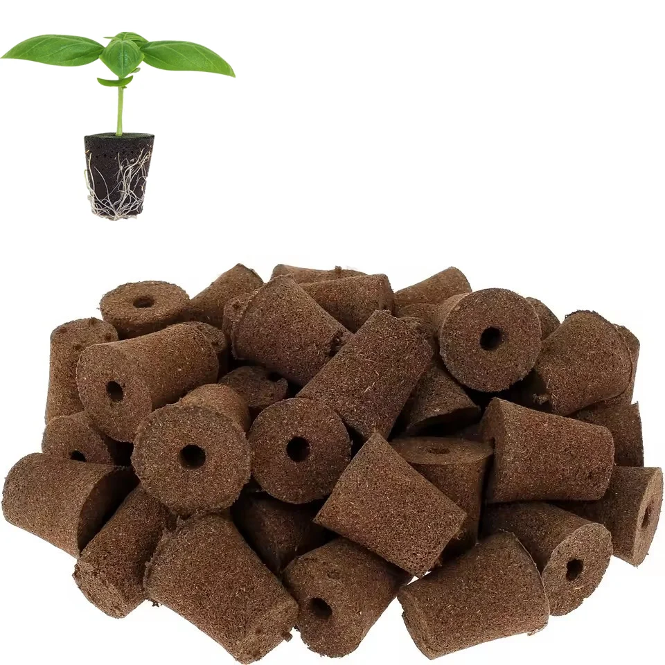 Everything You Need to Know About Seed Pods for Gardening