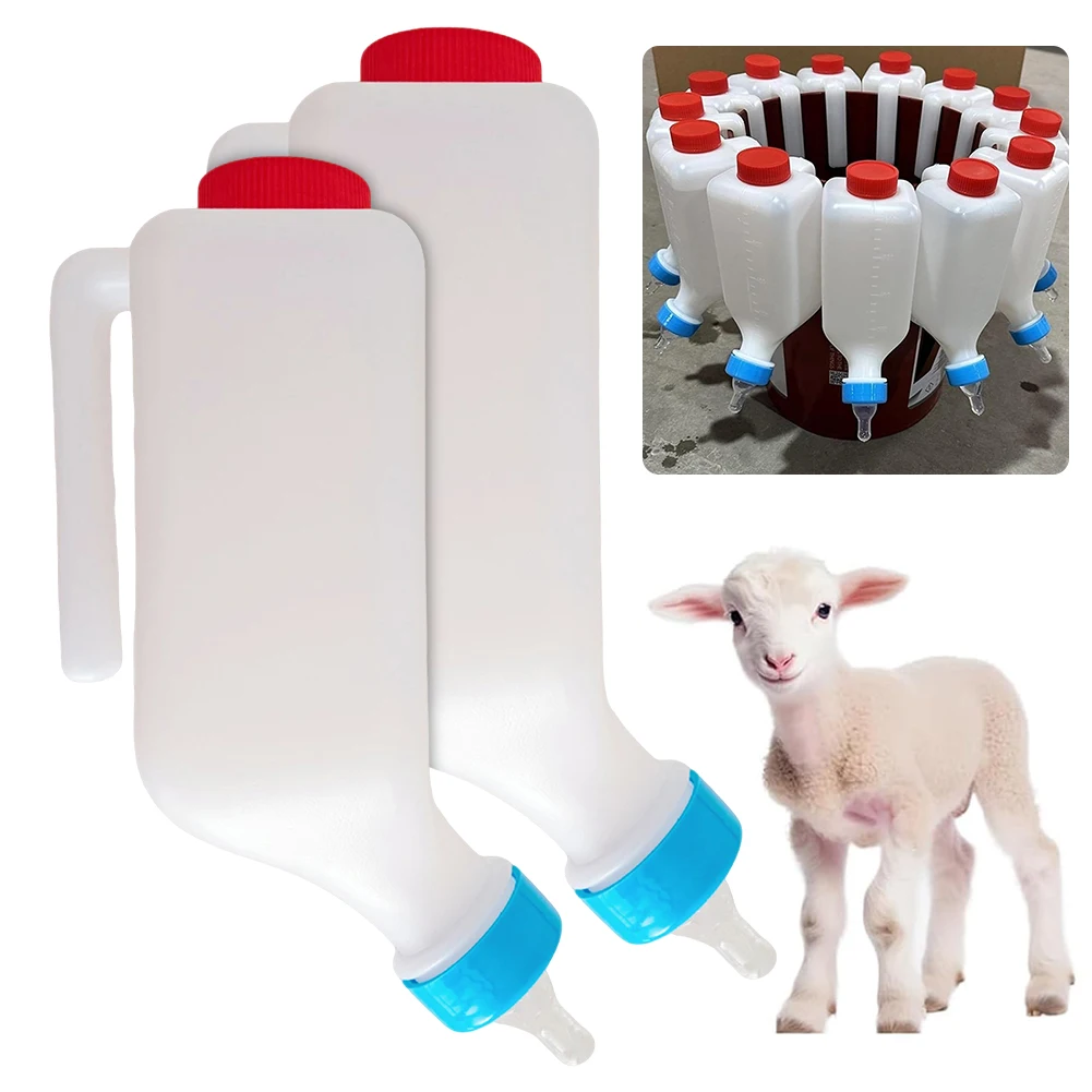 Bottle Feeding Lamb: The Ultimate Guide to Healthy and Stress-Free Milk ...