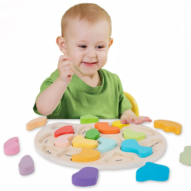 Children Color Shape Sorting Montessori Toys Geometry Sensory Shape ...