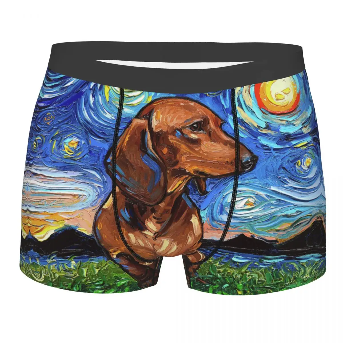 Weiner Dog Boxer