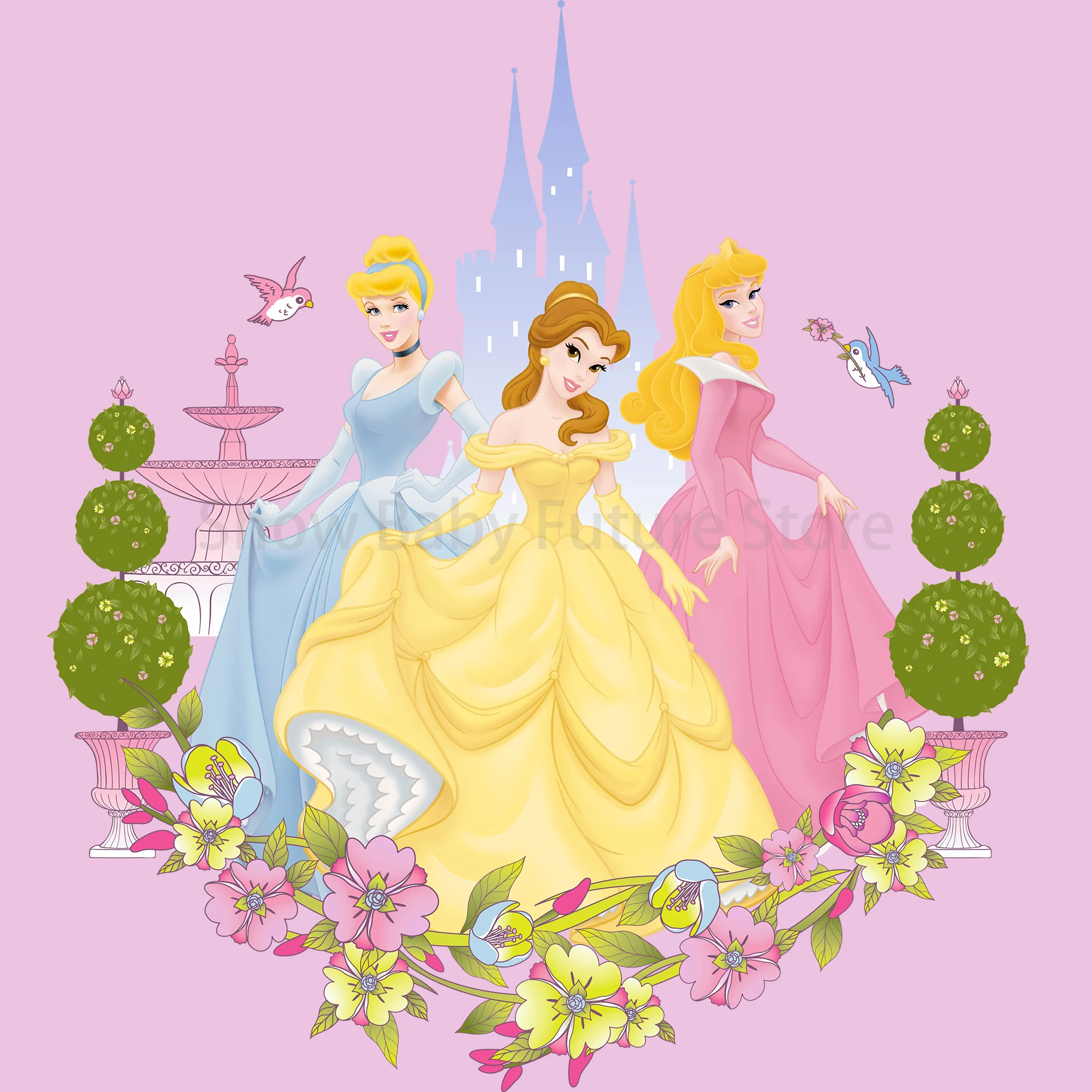 Disney Princess Iron On Transfers