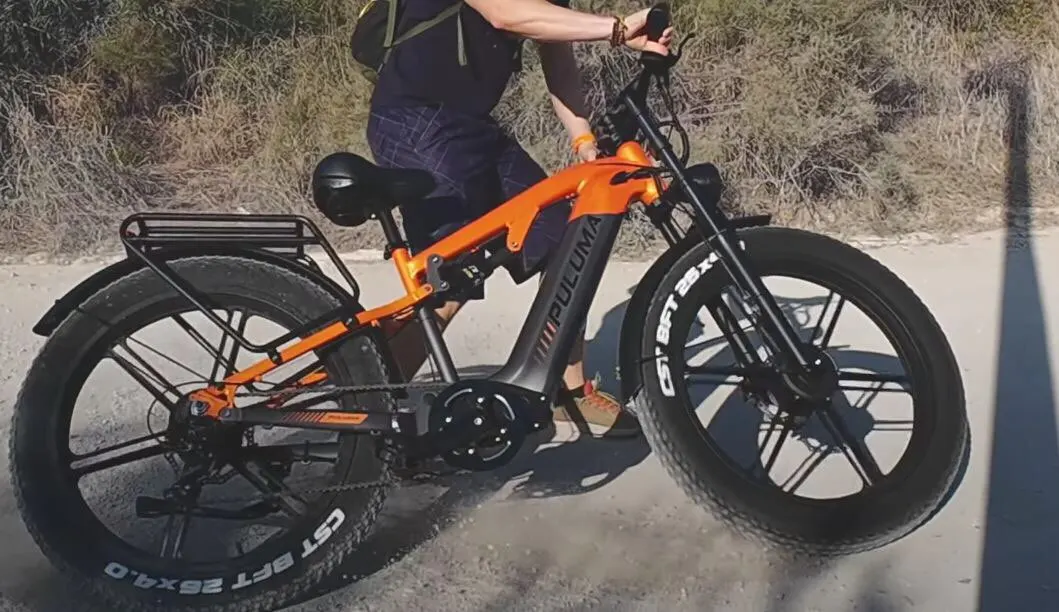 PULUMA Electric Bike Peak Power 3000W Motor 48V20AH E-Bike Hydraulic ...