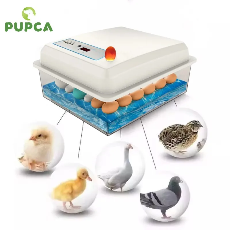20-Eggs-Incubator-Set-Fully-Semi-Automatic-Household-Brooder-Farm ...