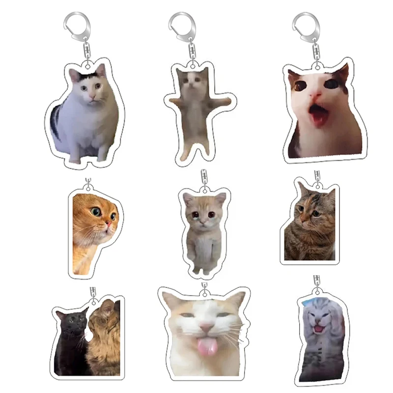 Funny-Cat-Memes-Series-Acrylic-Keychain-Student-Gift-Bag-Lanyard-Women ...