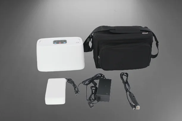 3L/mine Mini Portable Oxygen Concentrator with Battery for Home Travel ...
